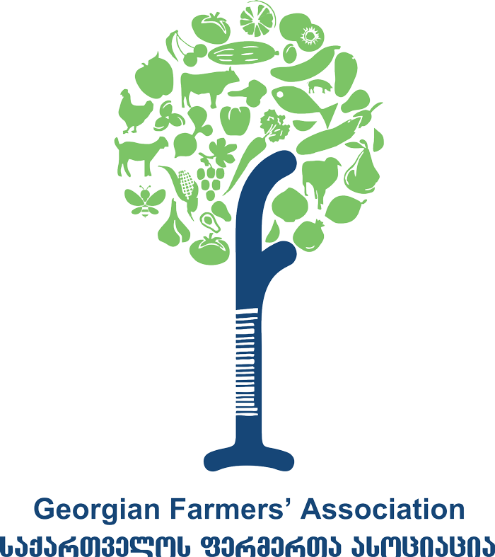 მთავარი გრანტები კონტაქტი